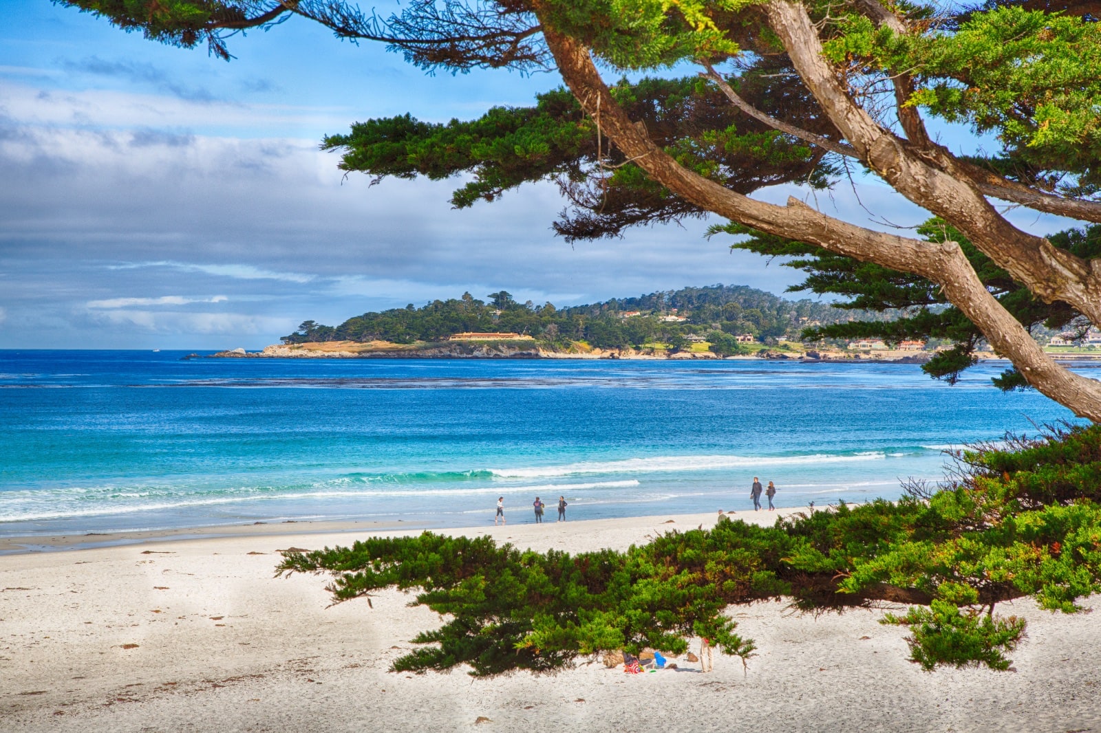 Carmel-by-the-Sea - Seb Frey, Silicon Valley + Bay Area REALTOR