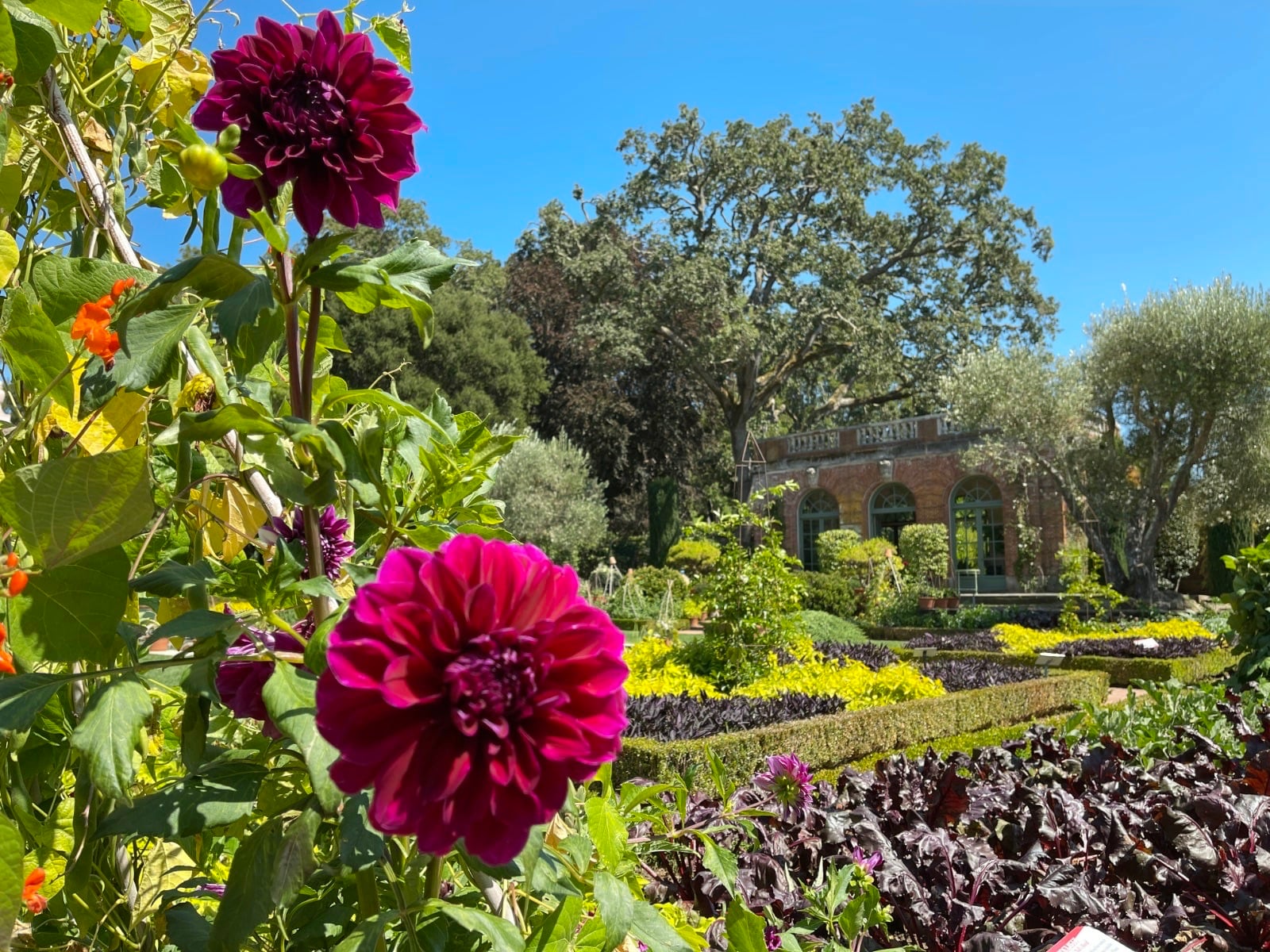Exploring the Historic Filoli Estate in Woodside - Seb Frey, REALTOR