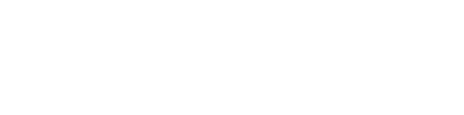 Homepage - Ty Savage Luxe