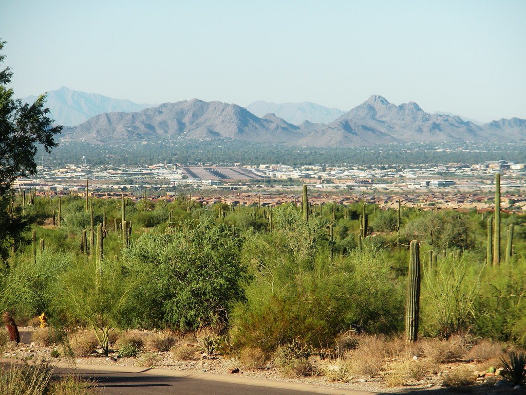 Scottsdale - Donna Allman