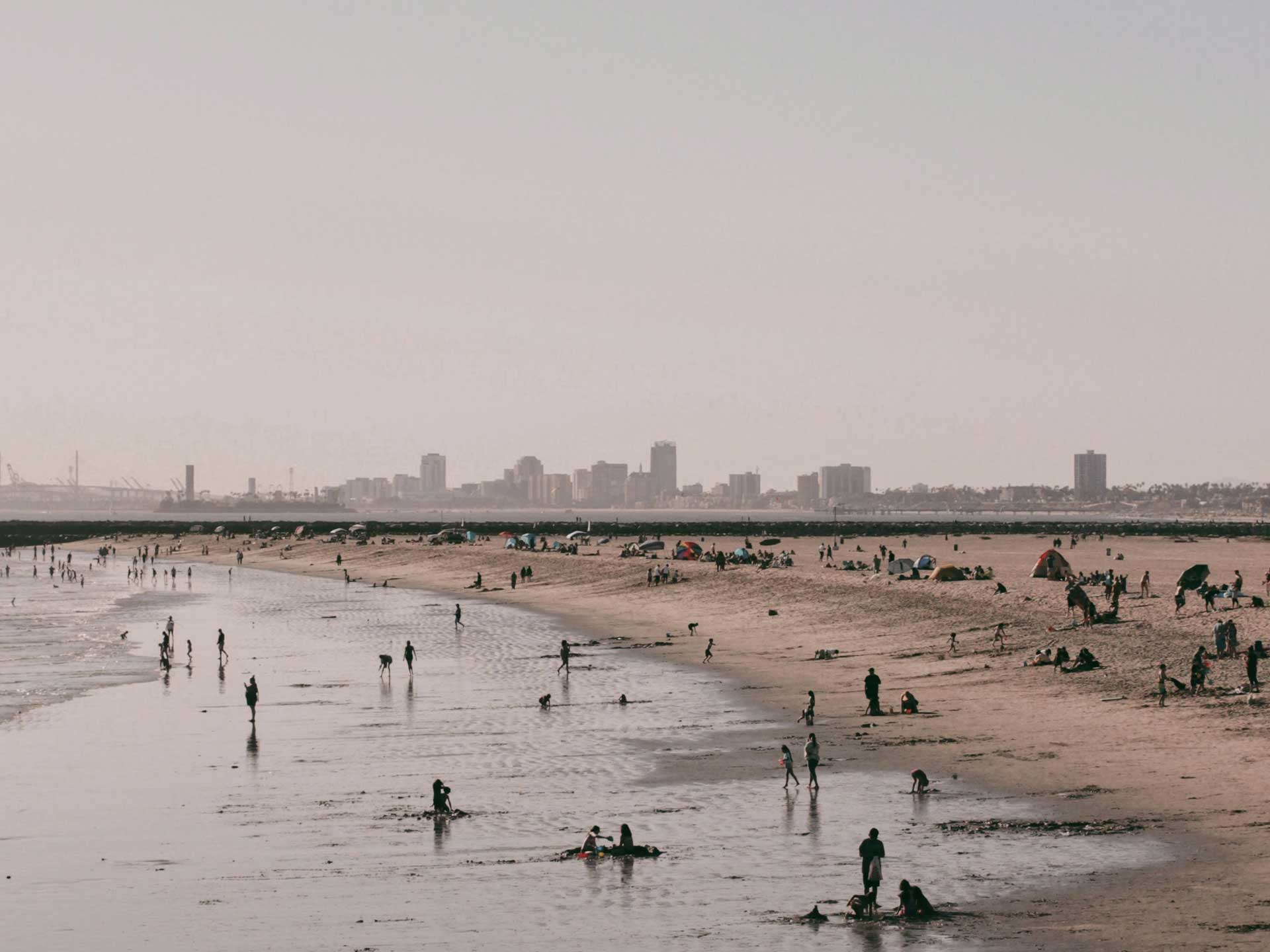 Seal Beach - The Burtle Team
