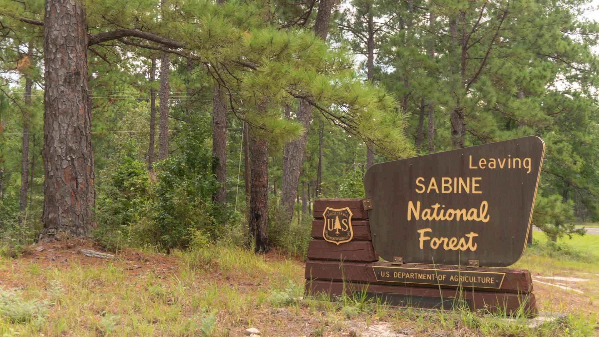 Sabine National Forest - MRC Land Realty – Texas Land & Investment ...