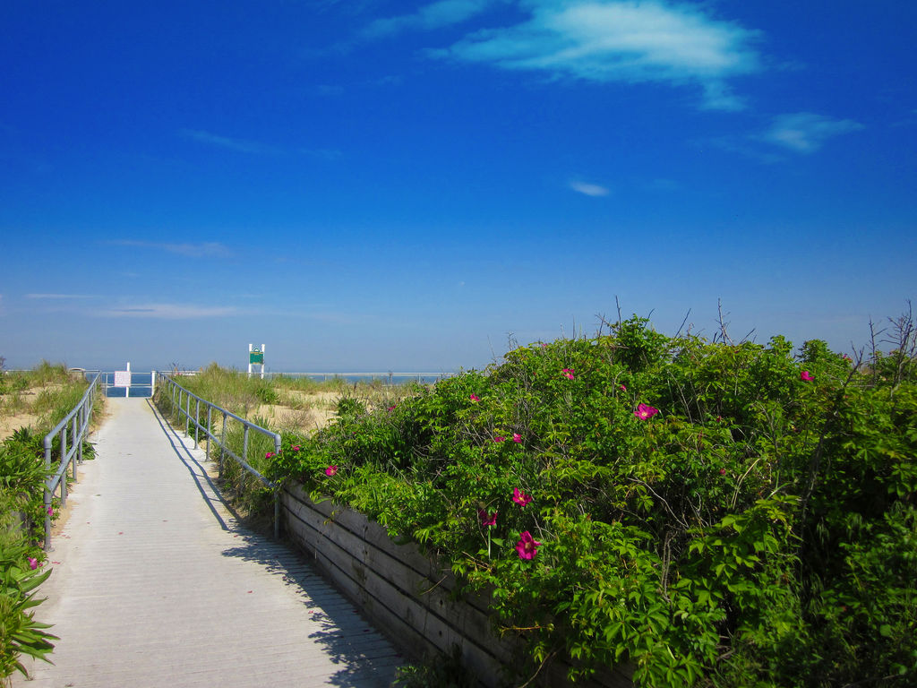 Sea Girt - 1100 Fifth Avenue