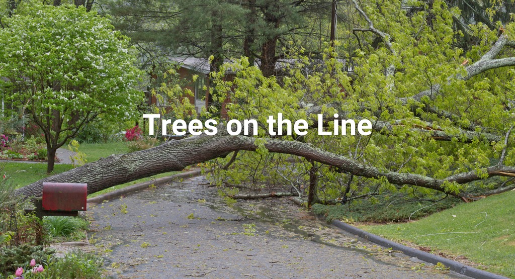 Trees on the Line - RE/MAX GOLD - Selzer Realty and Associates