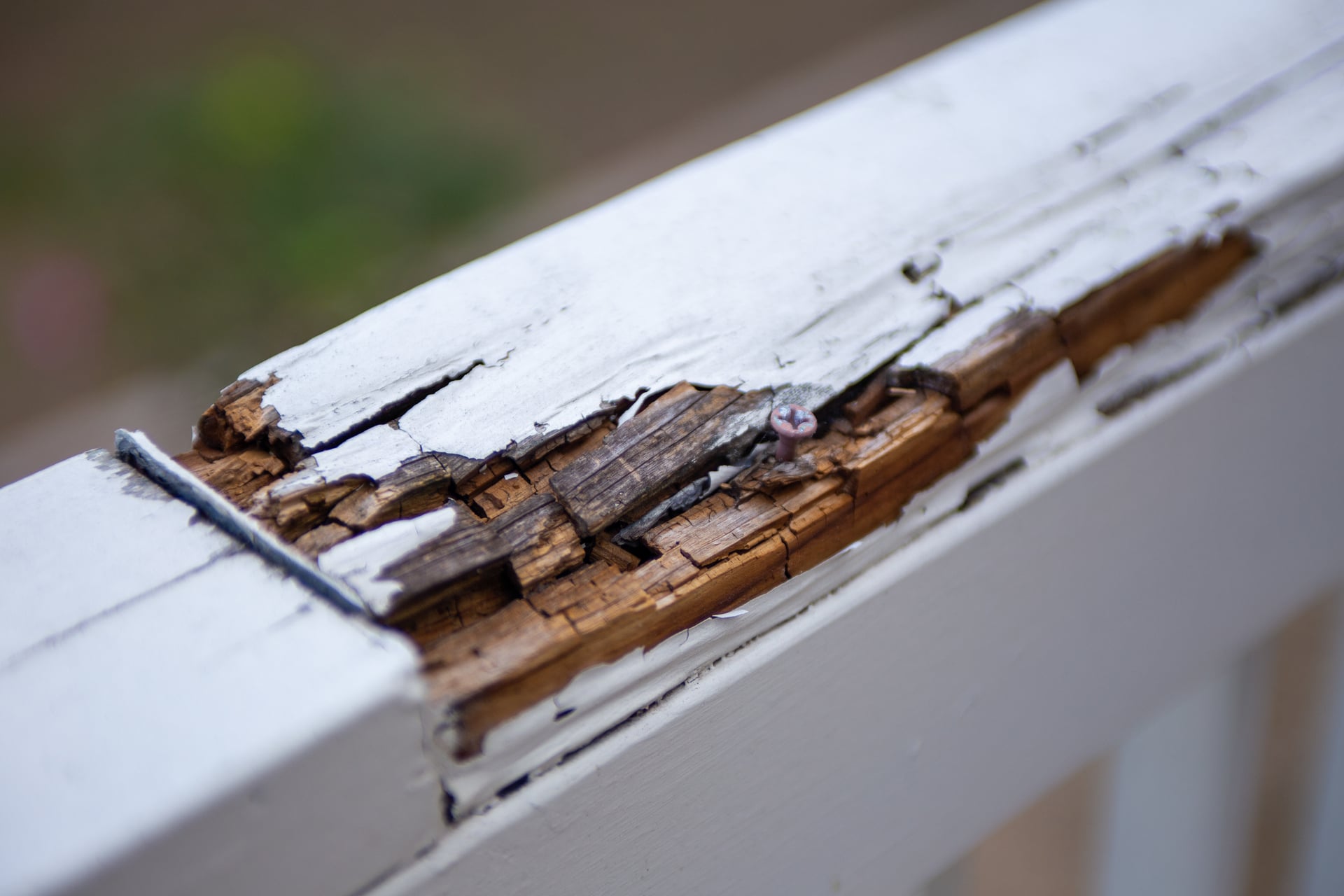 Don't Underestimate termites and their wood-destroying buddies - RE/MAX ...