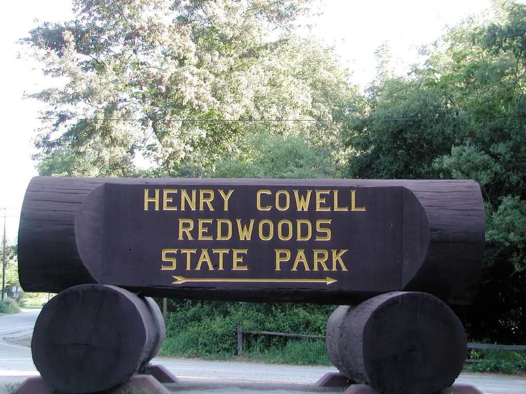 Escape the City: Why Henry Cowell Park in Felton is a Must-Visit - Seb ...