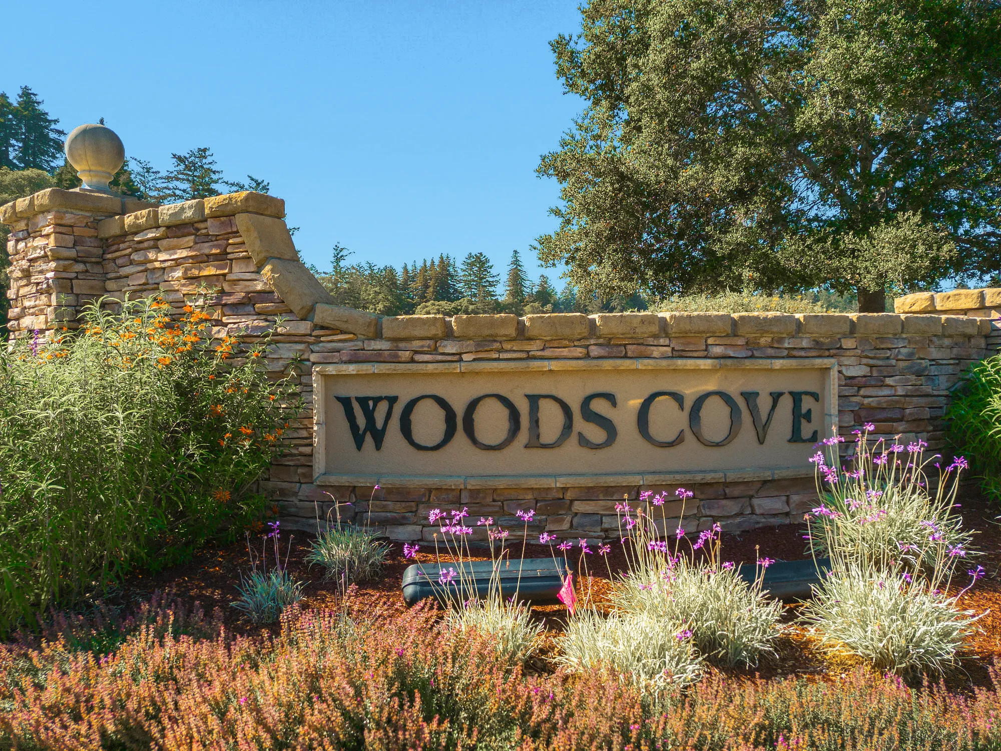 Woods Cove - Seb Frey, Silicon Valley + Bay Area REALTOR