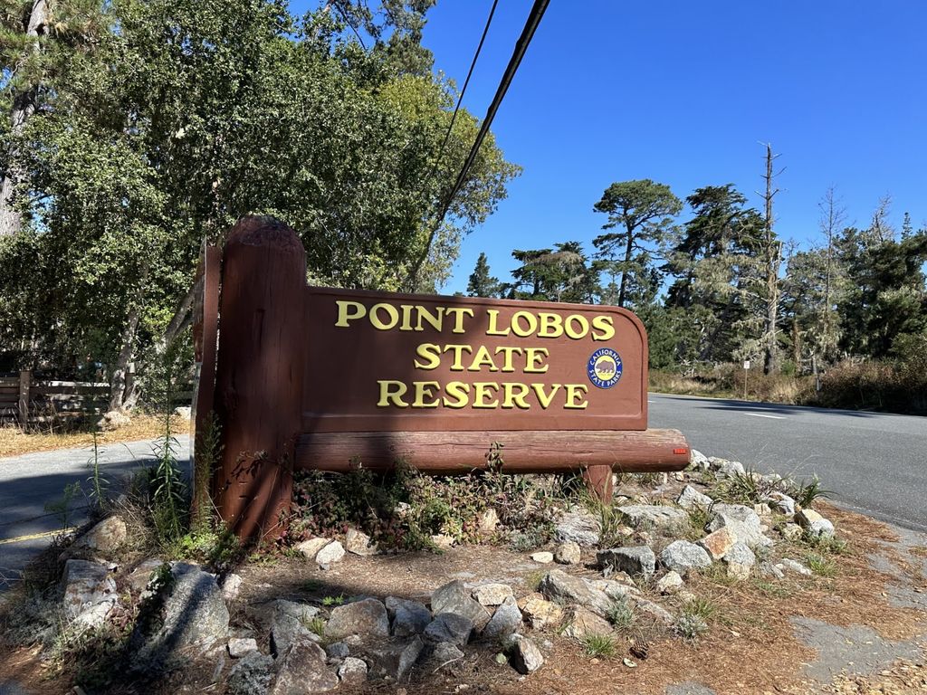 Exploring Point Lobos, the Crown Jewel of California State Parks - Seb ...