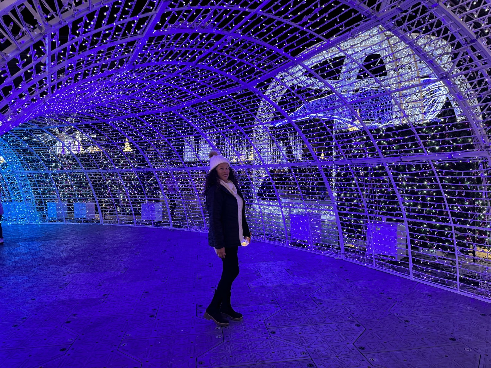 Discover the Magic of Christmas with Enchant in San Jose - Seb Frey ...