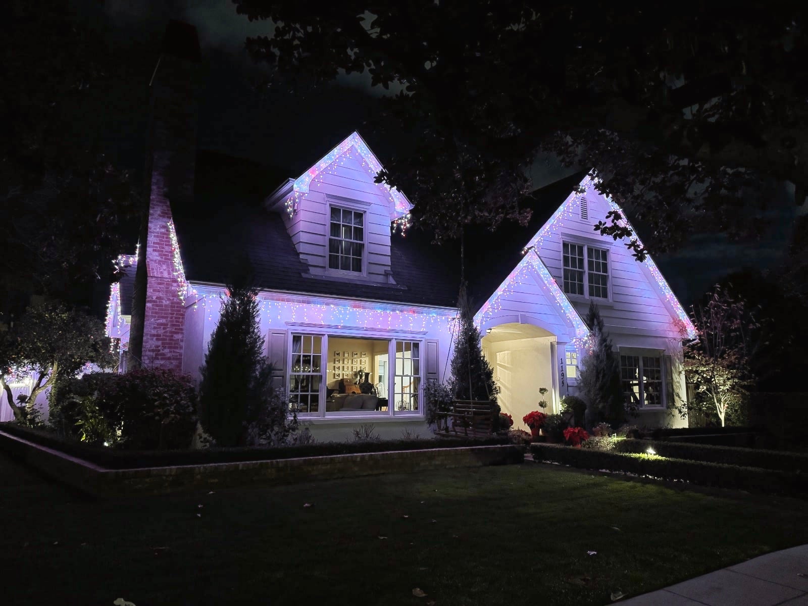 Willow Glen Christmas Lights - Seb Frey, Silicon Valley + Bay Area REALTOR