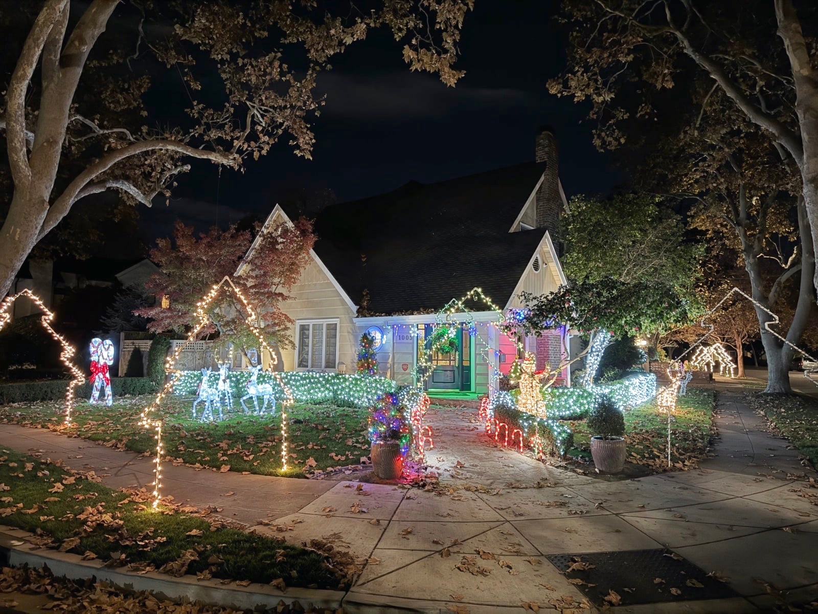 Willow Glen Christmas Lights - Seb Frey, Silicon Valley + Bay Area REALTOR