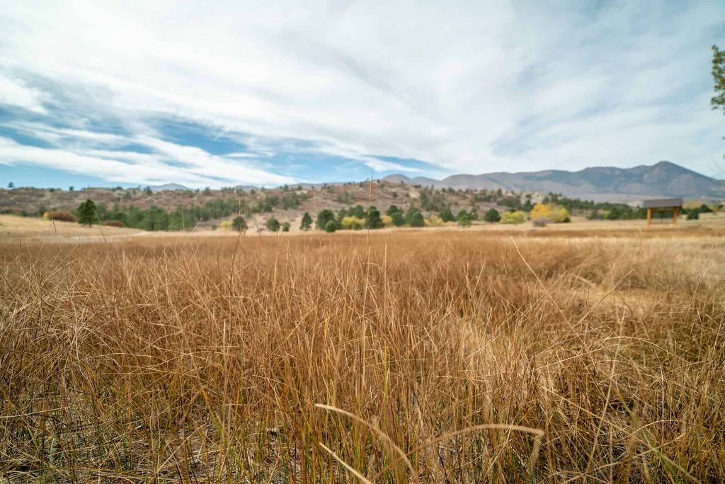 Local Resource - Alpine Autism Center - Colorado Springs Real Estate ...