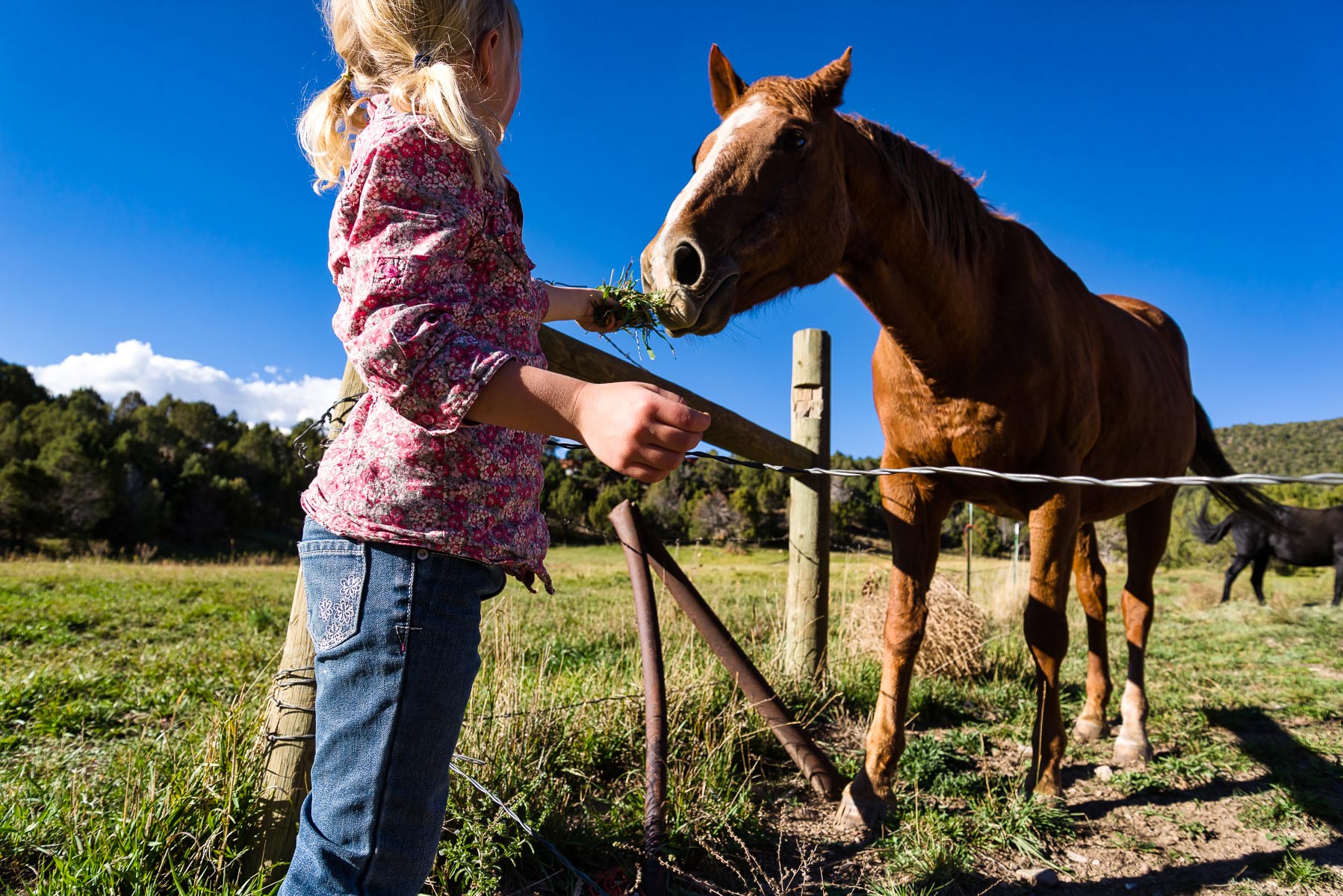 Gypsum Valley Brightwater Homes Vail CO | Vail Own It