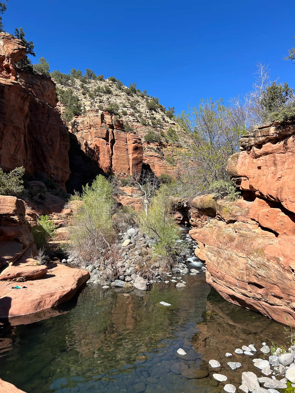 Rimrock - Nisreen Hawley, Real Estate Agent | BHHS Arizona Properties