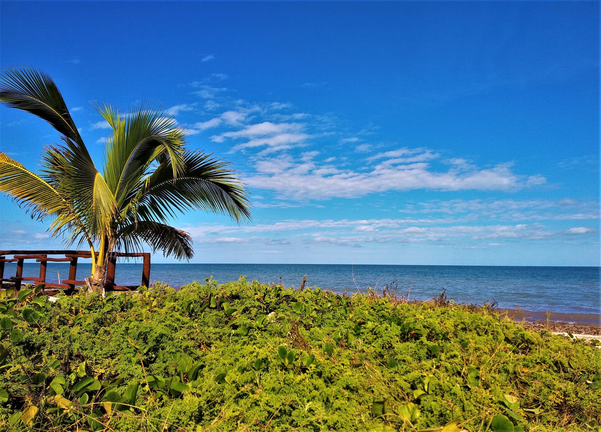Telchac Puerto - Yucatan Beach and City Properties