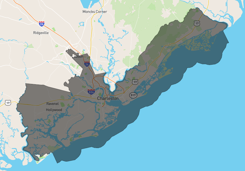 Charleston County Real Estate and Lifestyle | Dave Friedman Team