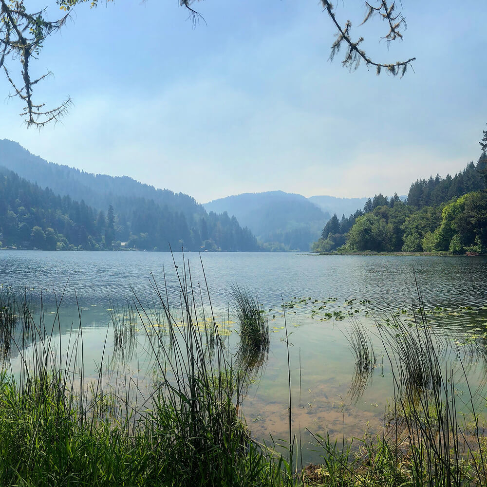 Reedsport Oregon Real Estate Guide | Beach Loop Realty