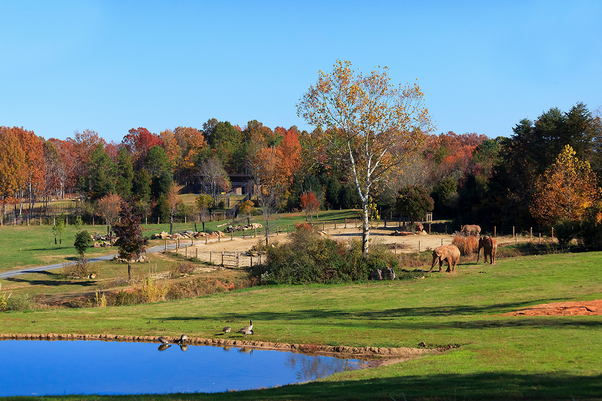 Homes for Sale in Asheboro NC | Barbour & Company Real Estate