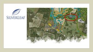 The Future of SilverLeaf: 2025 and Beyond - O.N.E. Florida Group