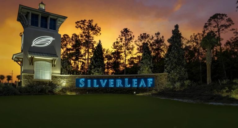 The Future of SilverLeaf: 2025 and Beyond - O.N.E. Florida Group