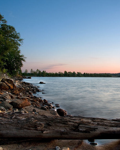 Anderson - Michael Carr & Associates