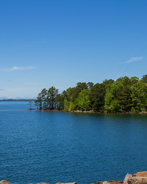 Fair Play - Michael Carr & Associates