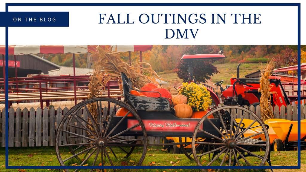 Fall Outings in the DMV - MilHousing Network