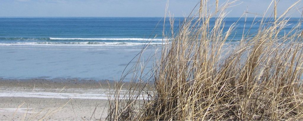 Best Beaches on the South Shore: Ultimate Guide to fun in the sun